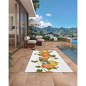 Outdoor Rug Carpet Indoor Area-Rug Thanksgiving Autumn Pumpkin Washable High Traffic Bedroom Kitchen Mat Backyard Patio Porch Rug, 4 X 6