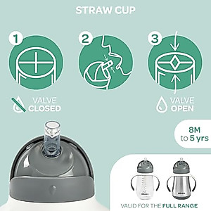 Beaba Stainless Steel Straw Sippy Cup, Sippy Cup with Removable Handles, Sippy Cup with Straw, 8+ months, 8.5 oz (Rain)