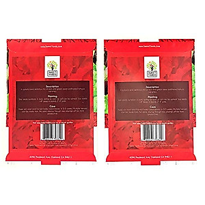 Baby Leaf Lettuce Seeds (Colorful Spring Mix) - 2 Seed Packets! - Over 1000 Open Pollinated Non-GMO USDA Organic Seeds