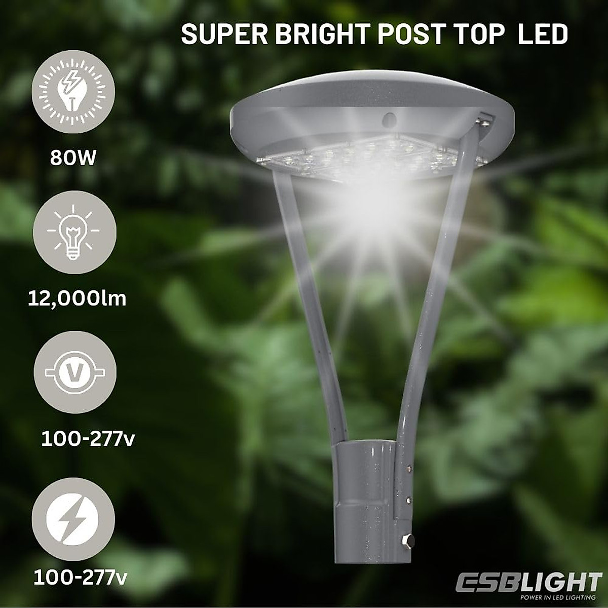 ESB LED Post Top Light Garden Streets Parking Lot, Commercial Area