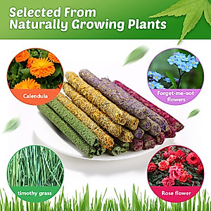 PStarDMoon Rabbit Chew Toys for Teeth, Timothy Grass Carrot Sticks for Guinea Pig Hamster Chinchilla Squirrel Bunny Small Rodent Animals (40 pcs)