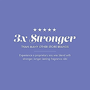 Goose Creek Blueberry Cheesecake Large 3-Wick Scented Candle