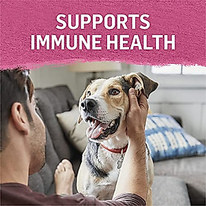 Purina Beyond Farm-Raised Beef and Spinach in Gravy Grain Free Wet Dog Food - (12) 12.5 oz. Cans