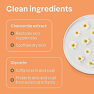 ATTITUDE Waterless Shampoo Spray for Pets, Plant and Mineral-Based Ingredients, Vegan and Cruelty-Free Grooming Products, Deodorizing and Anti-Itching, Lavender, 16 Fl Oz