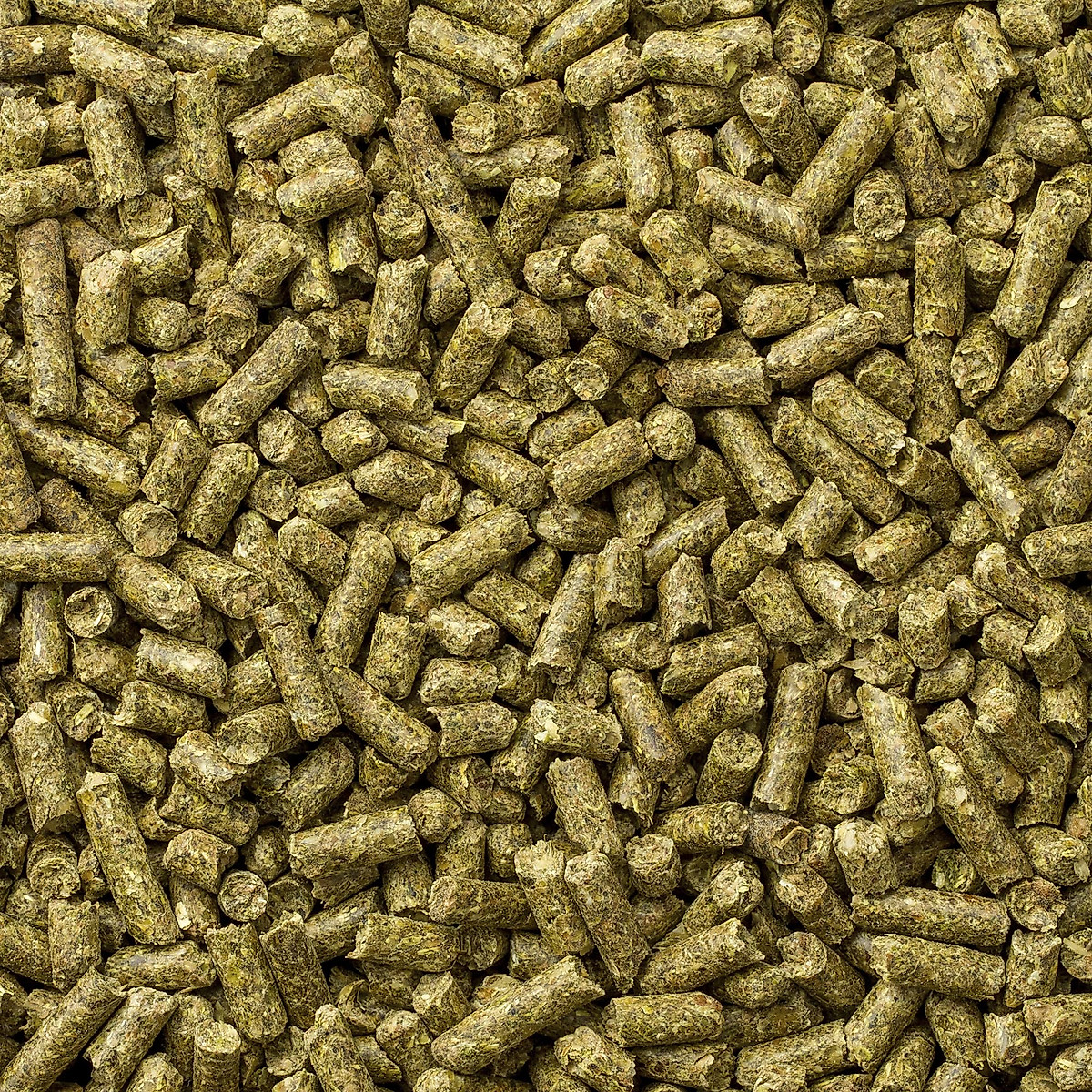 Mazuri | Nutritionally Complete Chinchilla Food | 2.5 Pound (2.5 lb.)