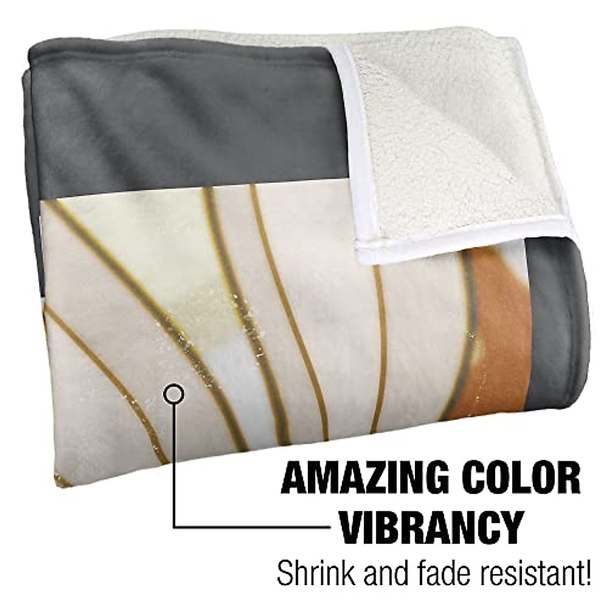 Looney Tunes Blanket, 50"x60", Squad Goals Sherpa Back Super Soft Throw