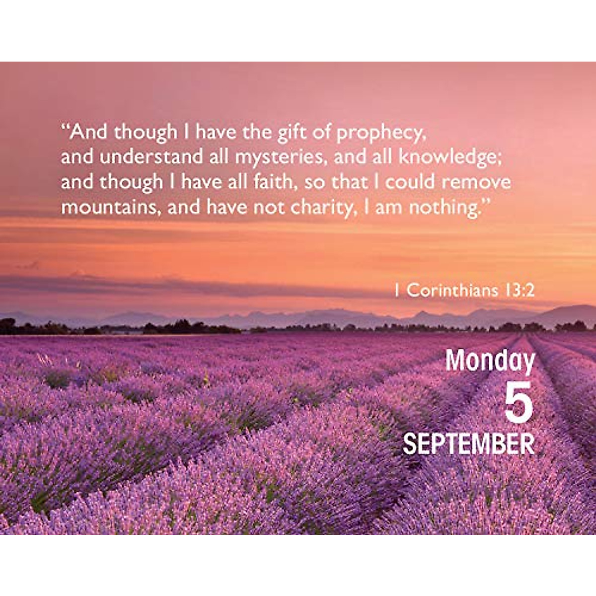 Bible Verse a Day 2022 Mini Boxed Calendar