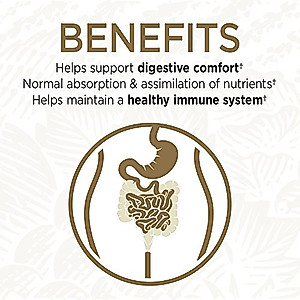 Garden of Life Whole Food Probiotic Supplement - Primal Defense Ultra Ultimate for Digestive and Gut Health, 216 Vegetarian Capsules