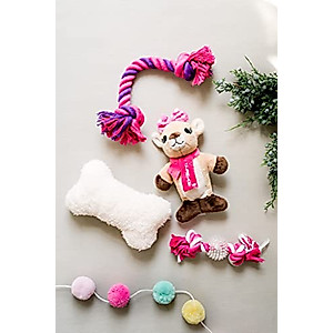 Dan Dee Rudolph The Red-Nosed Reindeer | 4-Piece Ball, Rope, and Two Squeaker Toy Bundle | Officially Licensed Holiday Pet Gift Sets |Clarice, Pink