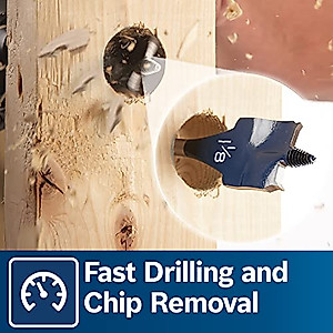 BOSCH DSB5013P 13-Piece Assorted Set Daredevil Spade Bits with Included Pouch, 1/4 In. Hex Shank Ideal for Fast Drilling Applications in Wood