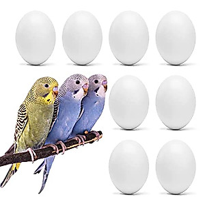 WOLEDOE 8Pcs Fake Bird Eggs, Stop Egg Laying fit Parrotlet, American Parakeet, Budgie, Diamond-Dove Artificial Eggs 14mm*19mm
