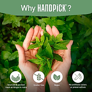 HANDPICK, Peppermint Tea Bags (100 Herbal Tea Bags) Caffeine Free, Non-GMO - Minty, Fresh & Cool flavor | Premium Round Eco Conscious Tea Bags