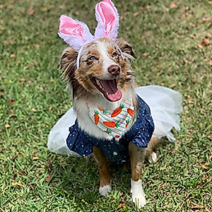 Easter Dog Bandana, Bunny and Carrot Bandanas for Dogs, Spring Puppy Scarf for Small Medium Large Dogs