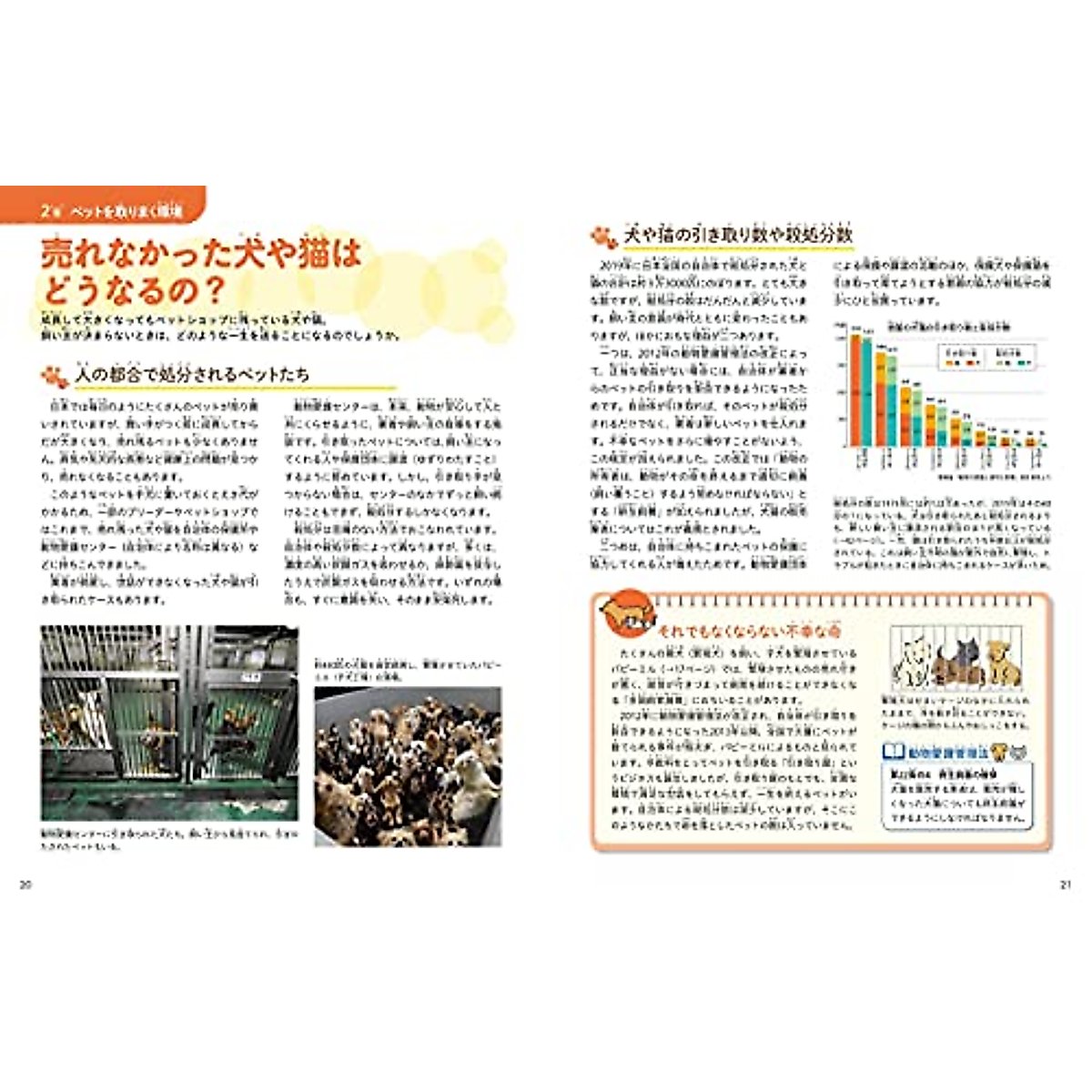 犬のいる暮らし 一生パートナーでいるために知っておきたいこと