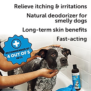 Pet Honesty Restore + Soothe Shampoo for Sensitive Skin for Dogs & Cats (Lavender) 12oz + Allergy Support Itch Relief for Dogs - Dog Allergy Chews with Probiotics for Seasonal Allergies, Skin and Coat