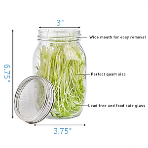 Tebery Complete Mason Jar Sprouting Kit - 2 Wide Mouth Quart Sprouting Jars with 316 Stainless Steel Screen Sprouting Lids, Melamine Tray and Stand | Seed Sprouter Set for Broccoli, Alfalfa, Mung Bean