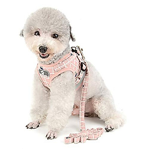 Zunea No Pull Small Dog Harness and Leash Set Adjustable Reflective Step-in Chihuahua Vest Harnesses Mesh Padded Plaid Escape Proof Walking Puppy Jacket for Boy Girl Pet Dogs Cats Pink XS