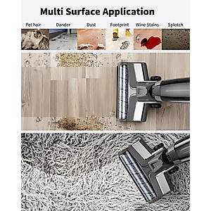 Stealth All in One Cleaner and Mop Shop Wet Dry Vacuums, Hard Floors and Area Rug, Gray