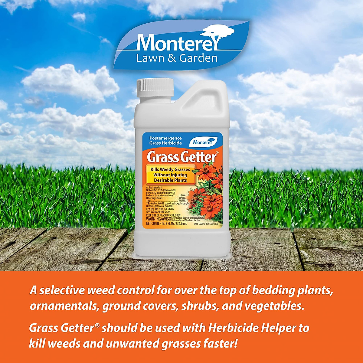 Monterey - Grass Getter - Selective Post Emergent Herbicide - Kills Weedy Grasses, Sethoxydim Herbicide - Apply Using Sprayer - 8oz Concentrate