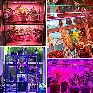 LED Plant Grow Light Strips, Full Spectrum Red Blue Plant Grow Lights for Indoor Plants with Auto 3H/6H/12H Timer, 4 Dimmable Levels Sunlike Growing Lamp for Hydroponics Succulent, 6 Strips