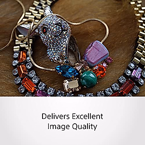 Sony SEL30M35 30mm f/3.5 e-mount Macro Fixed Lens