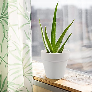 Sderoq 3.14 Inch Terracotta Pots - 22Pack Clay Flower Pots with Drainage Hole, Succulent Nursery Pot/Cactus Plant Pot. Great for Plants, Crafts, Wedding Favorn, DIY Production (White)