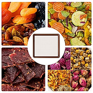 10PCS Silicone Dehydrator Sheets with Edge, Nonstick Silicone Dehydrator Trays Compatible with Cosori CP267-FD，Multi-purpose Reusable Fruit Leather Trays for Jerky, Fruit, Meat, Herbs, Vegetables