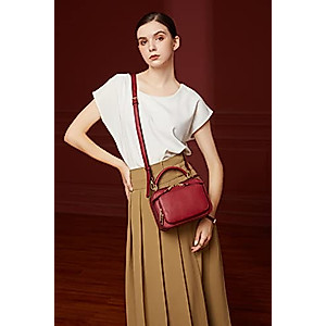 Crossbody Bags for Women, Trendy Design Satchels Shoulder Bag Handbags Tote Bag Double Zip Top-Handle Bags Camera Bag Purse (red)