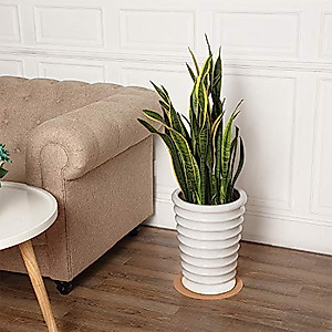 Boao 2 Packs Cork Coaster Round Cork Mat Trivet for Plant 12 Inch Soft Corkboard Mat Absorbent Planter Saucers for Kitchen Hot Pads, Pots, Pans, and Kettles and DIY Crafts Supplies