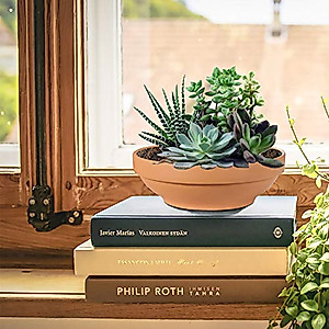 Terra Cotta Pots, Laergin 6.43 Inch Shallow Terra Cotta Clay Pots with Drain Hole Terra Cotta Plant Pot with Drainage Hole, Ceramic Plant Pots for Indoor/Outdoor Plants(6 Pack)