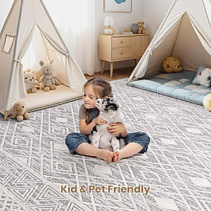 DEXIDUO Area Rugs for Living Room Rug: 9x12 Soft Washable Rugs Low Pile Non-Slip Backing Indoor Floor Rugs for Living Room Bedroom Kitchen Dining Under Table Home Office,Grey