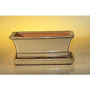 Bonsai Boy Beige Ceramic Bonsai Pot - Rectangle With Attached Humidity Drip tray 8 5 x 6 5 x 3 5