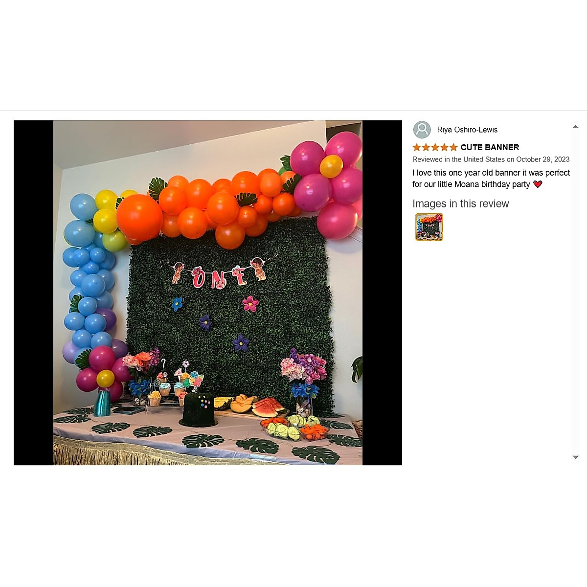 Seyal® Moan One Banner