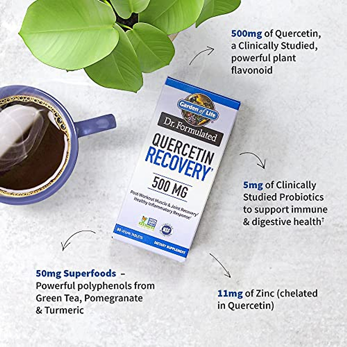 Garden of Life Quercetin Post Workout Recovery with Zinc, Turmeric & Green Tea – Dr Formulated – Healthy Inflammatory Response & Joint Support - Gluten Free, Non GMO, Carbon Neutral – 30 Tablets