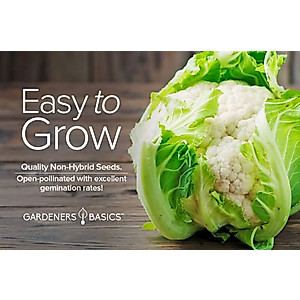 Cauliflower Seeds for Planting - (Snowball Y Improved) is A Great Heirloom, Non-GMO Vegetable Variety- 1 Gram Seeds Great for Outdoor Spring, Winter and Fall Gardening by Gardeners Basics