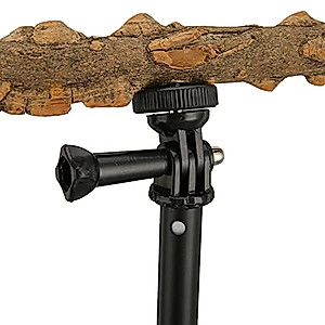 ASHATA Play Stand, Bird Perch, Portable Detachable Play Stand for Indoor Outdoor Traveling Birds to Stand, Climb or Play