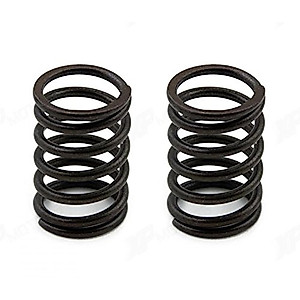 Sellerocity Valve Springs Compatible with Honda EB11000 EB3500 EB3800 EB5000 EB6500 EB7000 EG3500 EG5000 EM3500 EM3800 EM5000 EM6000 EM6500 EM7000 EN3500 EN5000 EU6500 EW140 EW171 EX3300 EX4500 EXW171