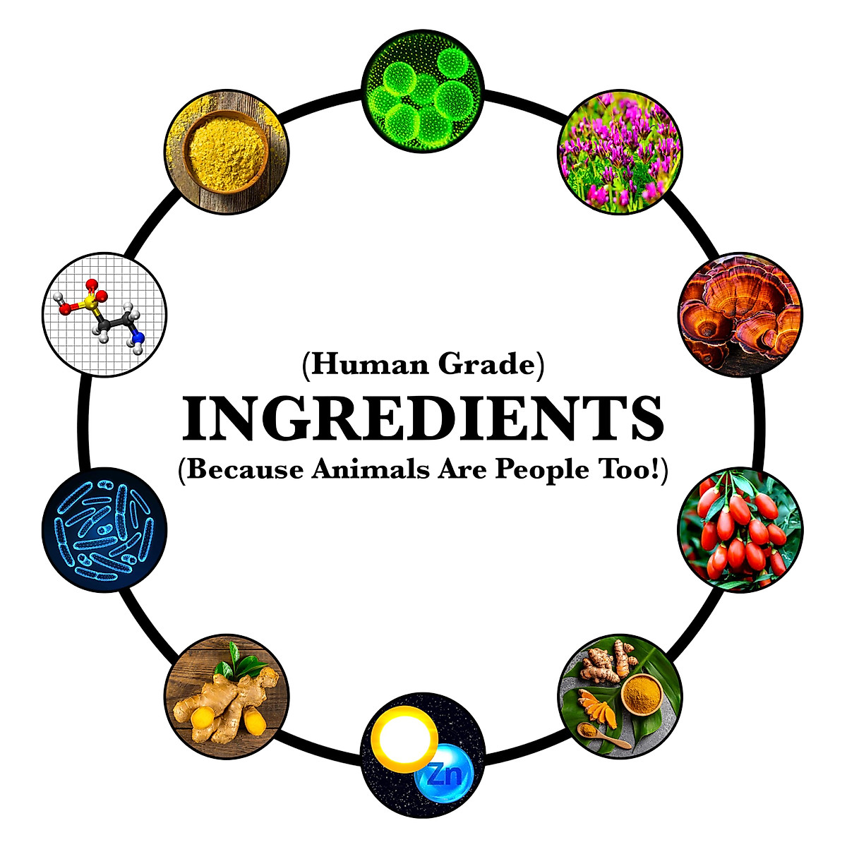 More Dog Days - Anti-Aging & Immune Support | Organic, Human-Grade Ingredients | Medicinal Plants & Mushroom Extracts | Omega 3's, Antioxidants, Probiotics, Vitamins & Minerals | Plant-Based & Vegan