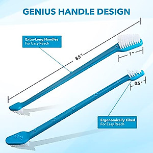 BOSHEL 3 Pc Dog Toothbrush - 2 Dog Tooth Brush + Dog Finger Toothbrush, Dual Headed Toothbrush For Dogs, Dog & Cat Toothbrush For Small & Large Breeds, Dog Tooth Brushing Kit, Puppy Toothbrush For Pet