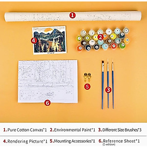 QUITEDEW Paint by Numbers for Adults Beginner,Times Square Paint by Number for Adults,Landscape Paint by Numbers Street Scenery,Manhattan Square Paint by Number City Night View 16 x 20 Inch