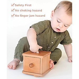 Montessori Coin Box Object Permanence - Wooden Coin Drop Toys for 1 Year Old - Develops Spatial Awareness & Cognitive Skills - Engaging and Educational Activity for Babies and Toddler Coins Toy
