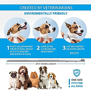 Flea Collar for Dogs, Flea and Tick Prevention for Dogs, Puppy Natural Flea Collar, Fits All Dogs Pet Supplies