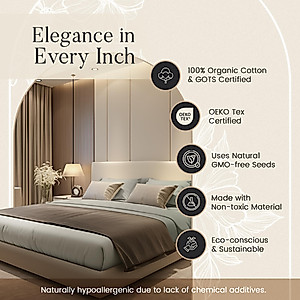 100% Organic Cotton Queen Sheet Set & Standard Pillowcases Set of 2 Combo- 300 Thread Count Long Staple Cotton Sheets,3 Pc Queen Size Sheets & Standard Pillowcases, Sateen Sheets, Breathable - Silver