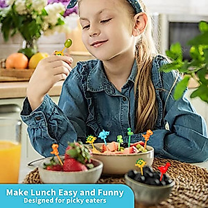 12Pcs Food Picks for Kids, Dinosaur Fruit Food Picks, Fun Kids Food Picks for Bento Box, School Lunch Accessories for Kids, Cute Animal Fruit Toothpicks for Picky Eaters
