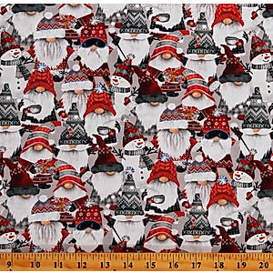 Timeless Treasures Cotton Christmas Snowmen Gnomes Scarfts Hats Glasses Holiday Winter Seasonal Multicolor Cotton Fabric Print by The Yard (GAIL-CD2885-MULTI), 44 Inches