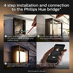 Philips Hue Econic Outdoor White & Color Wall & Ceiling Light Fixture (Hue Hub Required, Compatible with Alexa, Apple Homekit & Google Assistant)