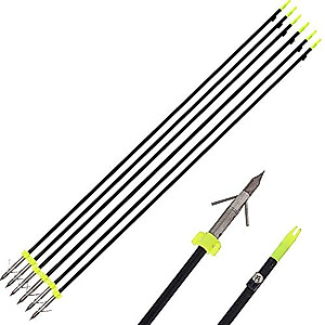 AMEYXGS 6/12pcs Archery Fiberglass Bowfishing Arrow Bow Fishing Arrows with Broadheads and Safty Slides for Compound and Bow Recurve Bow Fishing Hunting (6 Pcs)