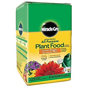 Miracle-Gro Indoor Plant Food Spikes, Includes 48 Spikes - Continuous Feeding for All Flowering and Foliage Houseplants - NPK 6-12-6, 1 Pack of 48 Spikes & Water Soluble All Purpose Plant Food, 8 Oz.