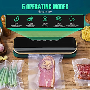 LUV Automatic Vacuum Sealer Machine: 80kpa Suction Touch Automatic Food Sealer With External Vacuum System Compact Design 10pcs Seal Bags Starter Kit Dry Moist Fresh Modes For All Saving Needs (Green)