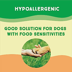 Ultra Chewy Turkey Tendon Rings for Dogs - Premium All-Natural Tendons, Hypoallergenic Treats, Easy to Digest, Alternative to Rawhide (6 Pack)
